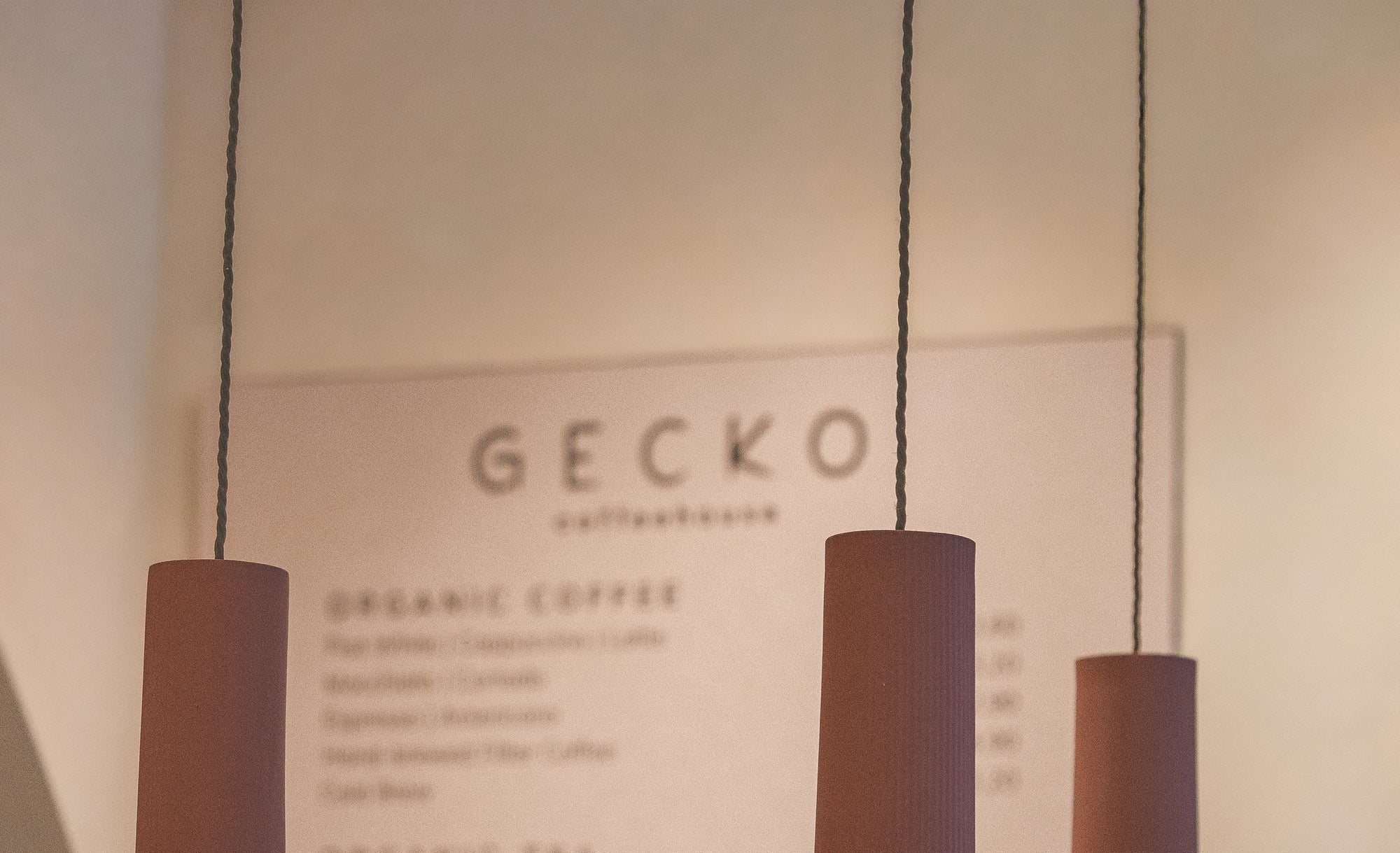 Gecko Coffee Store - Speciality Coffee Beans to Enjoy at Home – Gecko ...